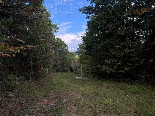 13.57 ac Burnt Mountain Cove Rd, Jasper, GA 30143 | MLS #419202