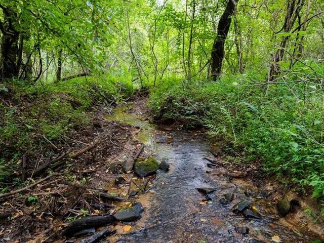 13.59 Ac Ridgeway Church Rd, Ellijay, GA 30540