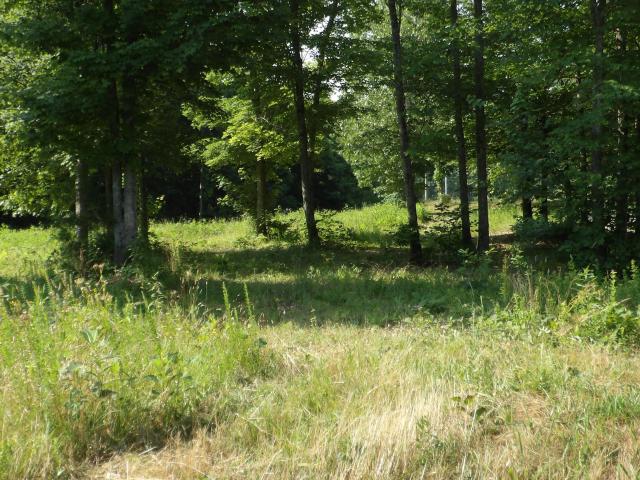 13.87 ac Pleasant Cemetery Ln, Gainesboro, TN 38562 | MLS #1323
