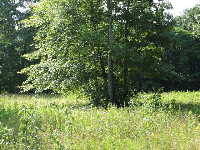 13.87ac Pleasant Cemetery Lane