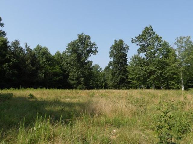 13 87AC Pleasant Cemetery Ln, Gainesboro, TN 38562