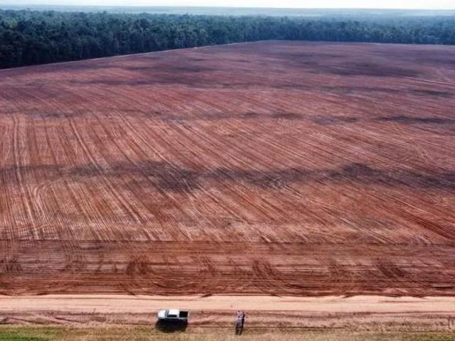 13.900 HECTARES NO MATO GROSSO