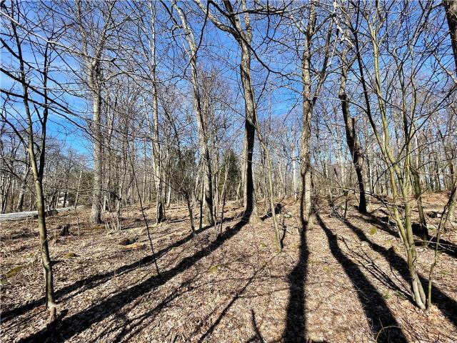 13 14 1 Laurel Summit Rd