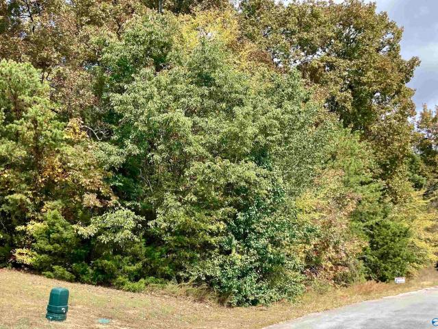 13,14 Forest Home Drive