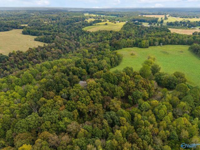 13.2 Acres Aunt Ann Hill Road