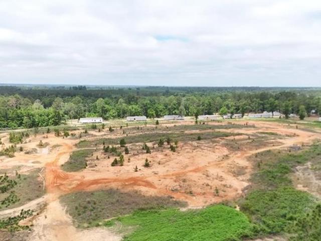 13.32 Ac Towhee/Woodcliff, Clyattville, GA 31601