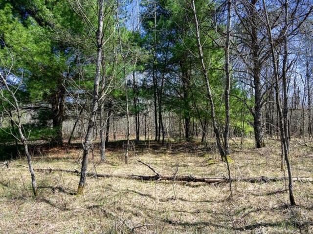 13.34 Ac 22nd St Lot 1, Necedah, WI 54646