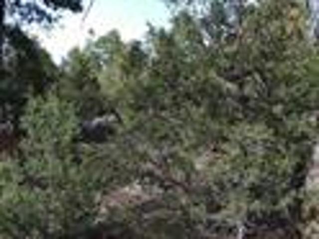 13 Tract 2 Costilla Place