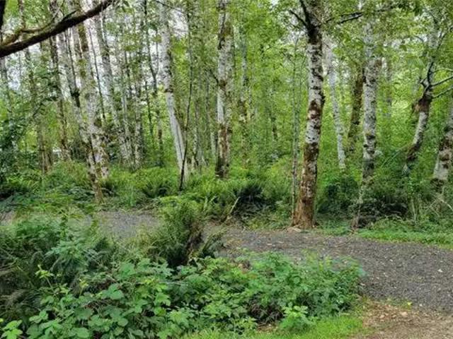 13 W QUILLAYUTE TRL, ELMA, WA 98541 Vacant Land For Sale MLS#.