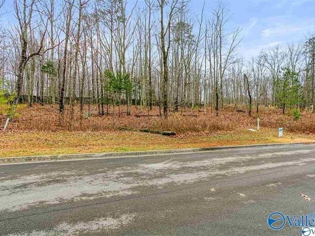 13 Winter Walk Way SE, Huntsville, AL 35803