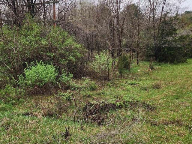 13 Wisconsin Dells, WI 53965 | MLS #2020