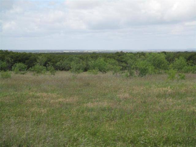 13 ac Elenburg Rd, Perrin, TX 76486 | MLS #20086