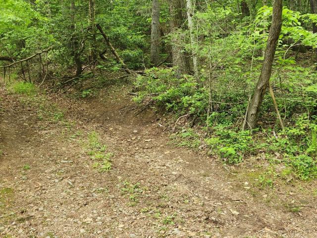 13 AC Goose Island Road