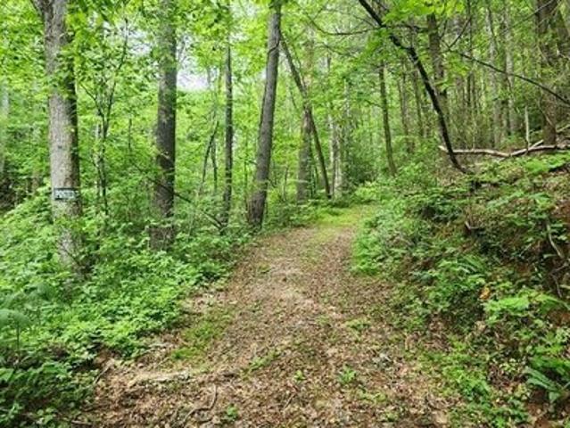 13 Acres Goose Island Rd, Ellijay, GA 30540
