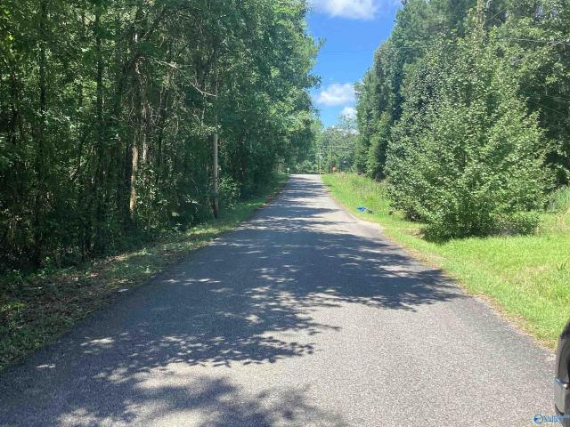 13 acres Gray Road
