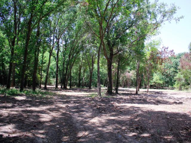 13 +/ Acres Greenbriar Road