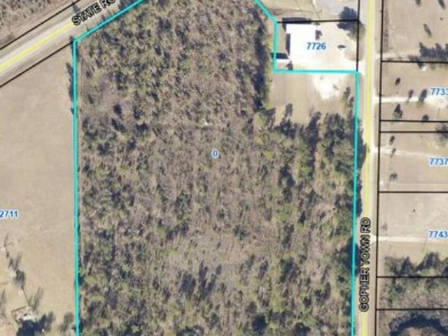 13 Acres Highway 253, Donalsonville, GA 39845