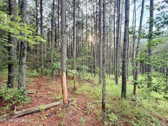 13 Airport Rd Lots 10 & 11, Rockwood, TN 37854