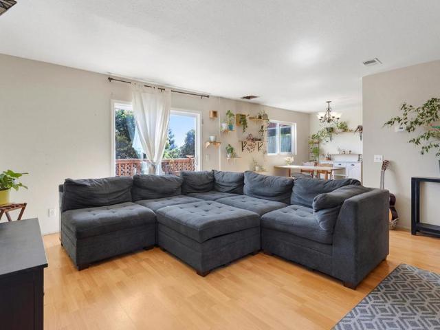 13 Altamont Drive