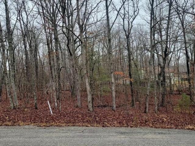 13 Appleby Ct, Crossville, TN 38558