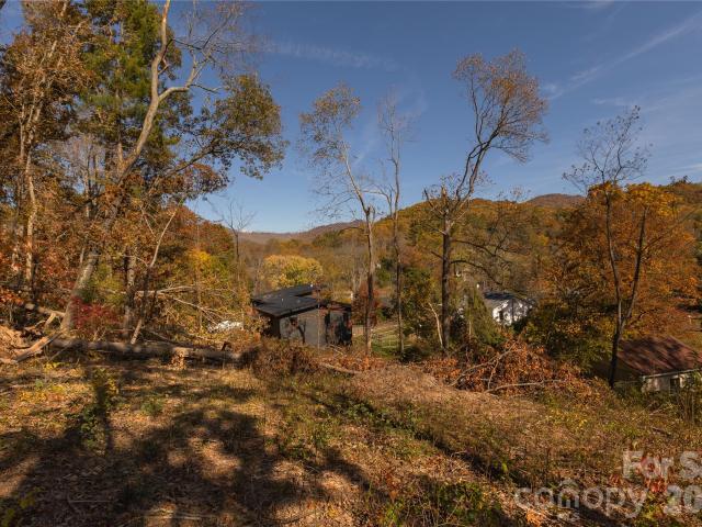 13 Bassett Rd, Asheville, NC 28804 | MLS #4332