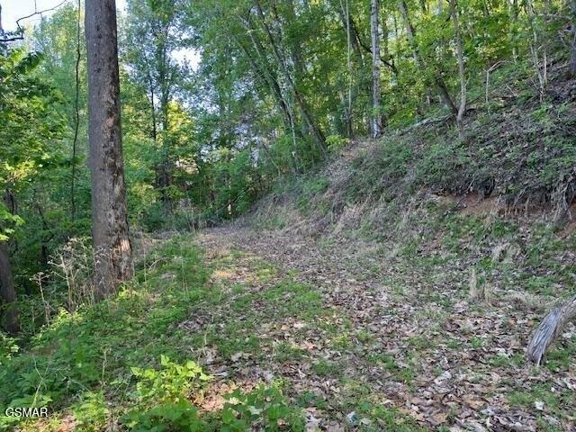 13 Dove View Rd, Sevierville, TN 37862
