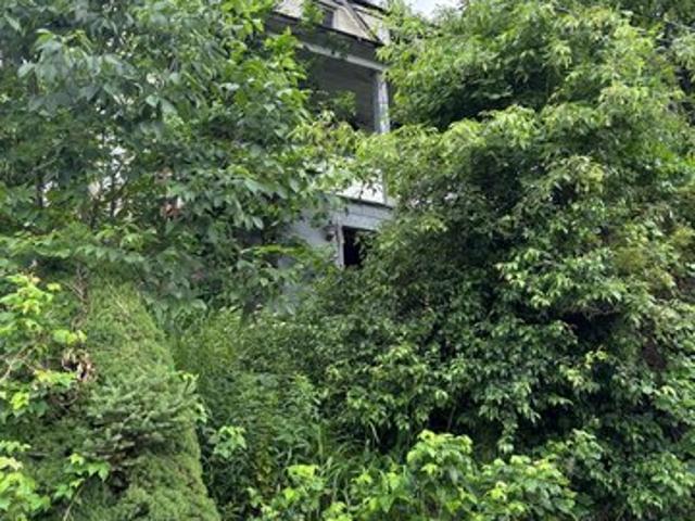 13 Dudley St, Lonaconing, MD 21539