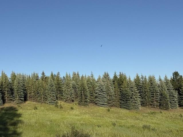 13 E Gibbs Rd, Mica, WA 99023