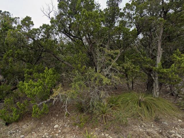 13 E 27th St, Lakehills, TX 78063 | MLS #1955 | Compass