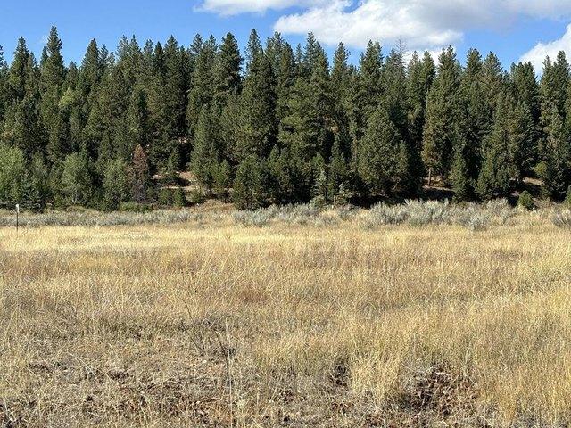 13 Fawnlilly Dr Lot 62, McCall, ID 83638