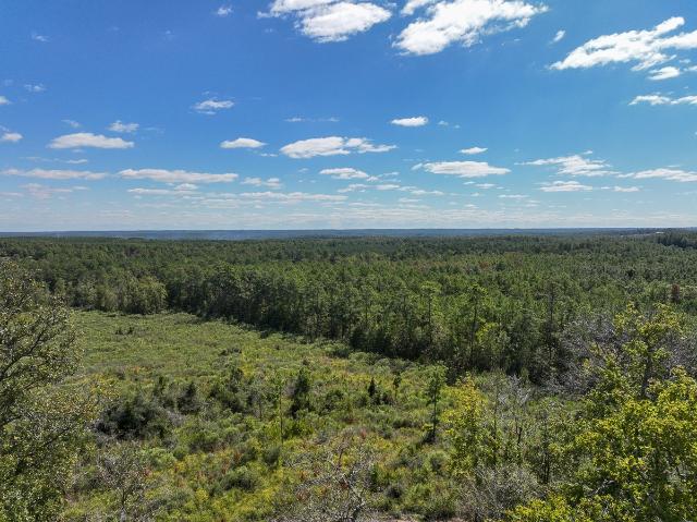 13 Fm 350, Livingston, TX 77351 | MLS #87575