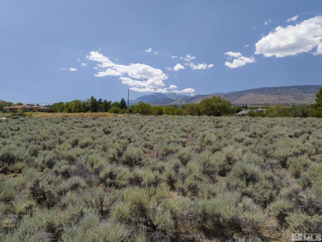 13 Glenhaven Dr, Reno, NV 89511 | MLS #240012