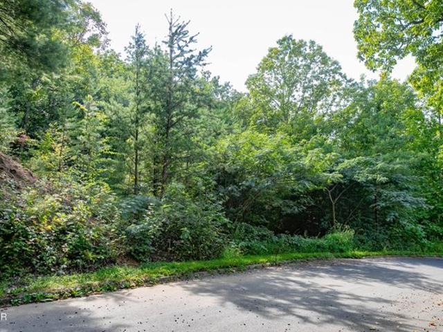 13 Lexy Ln, Sevierville, TN 37862