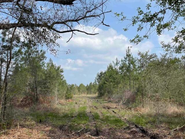 13 Lorin Wall Rd, Holden, LA 70744 | MLS #BR2026013