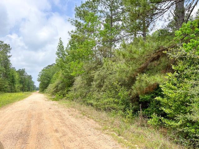 13 Old Arco Rd, Silsbee, TX 77656 | MLS #32547