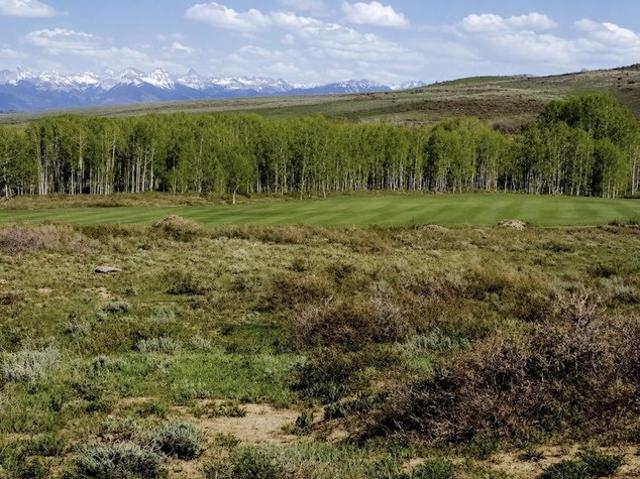 13 Red Cloud Ct, Montrose, CO 81403