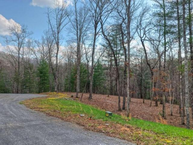 13 Rocky Ridge, Mineral Bluff, GA 30559 | MLS #7744