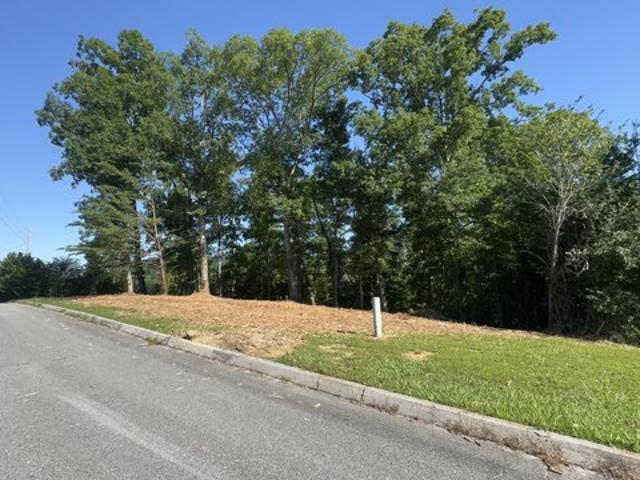 13 Rupert Dr, Dandridge, TN 37725