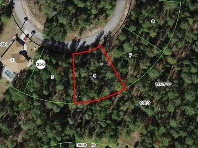 13 Scabiosa Ct, Homosassa, FL 34446