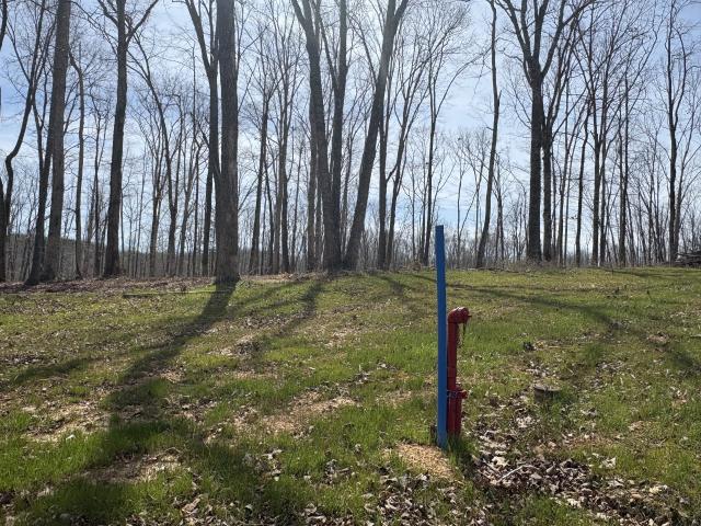 13 Shelton Cemetery Rd, Cumberland Furnace, TN 37051 | MLS #3164