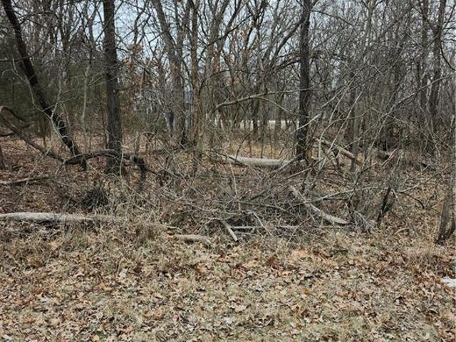 13 Silver Ln, Linn Valley, KS 66040 | MLS #2597