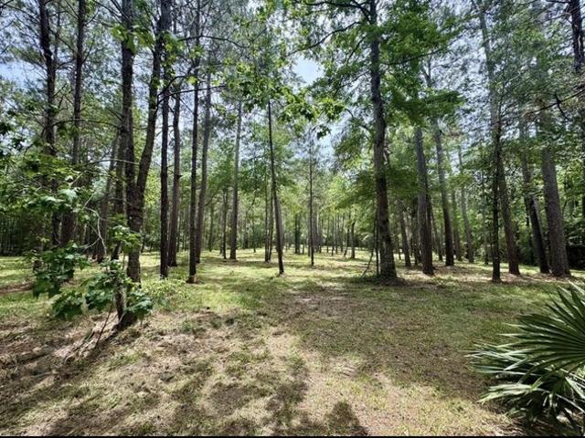 13A 1 Texas Grand Rd, Huntsville, TX 77340