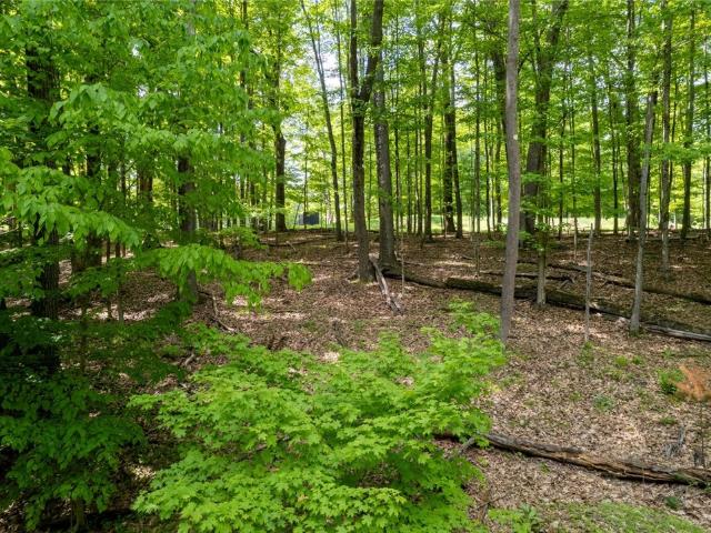 13A 210 Crooked Island Rd