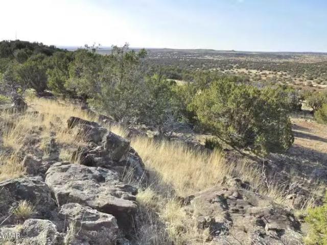 13J Wagon Ln, Show Low, AZ 85901 MLS 246555