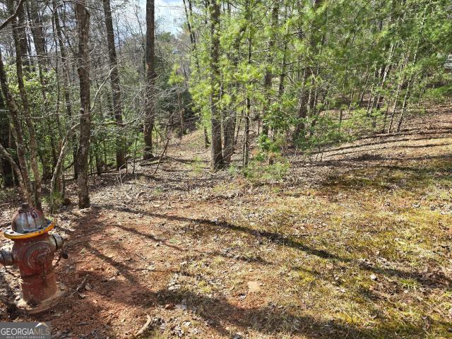 13L Sautee Trail
