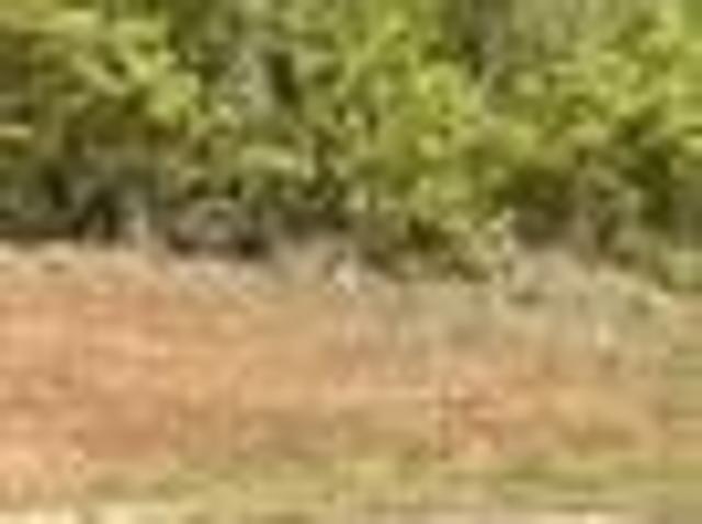 13th Cou Ct Lot 23, Lanett, AL 36863