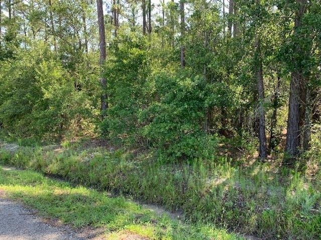 10040 Isaacson Ave, Hastings, FL 32145