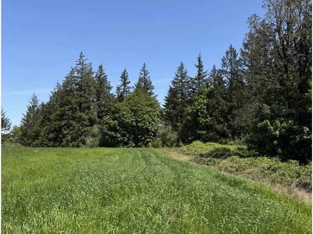 10042 Helmick RD