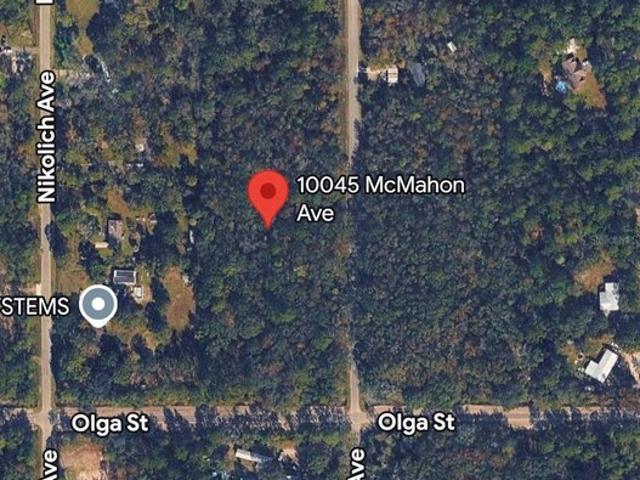 10045 McMahon Ave, Hastings, FL 32145
