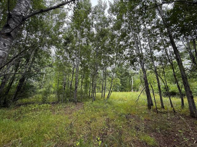 10046 Legionville Road